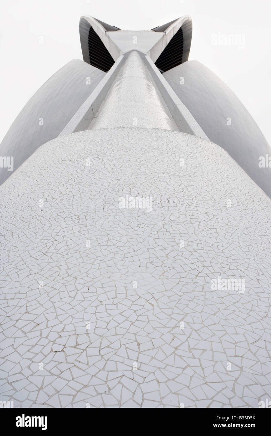 Valencia Opera house Stock Photo - Alamy