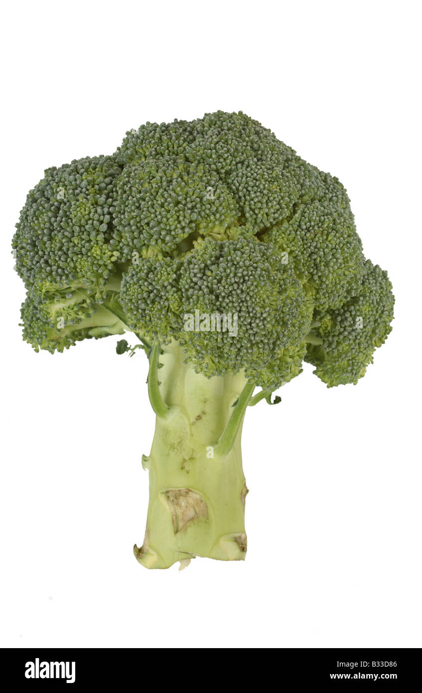 cut out of a piece of broccoli Stock Photo - Alamy