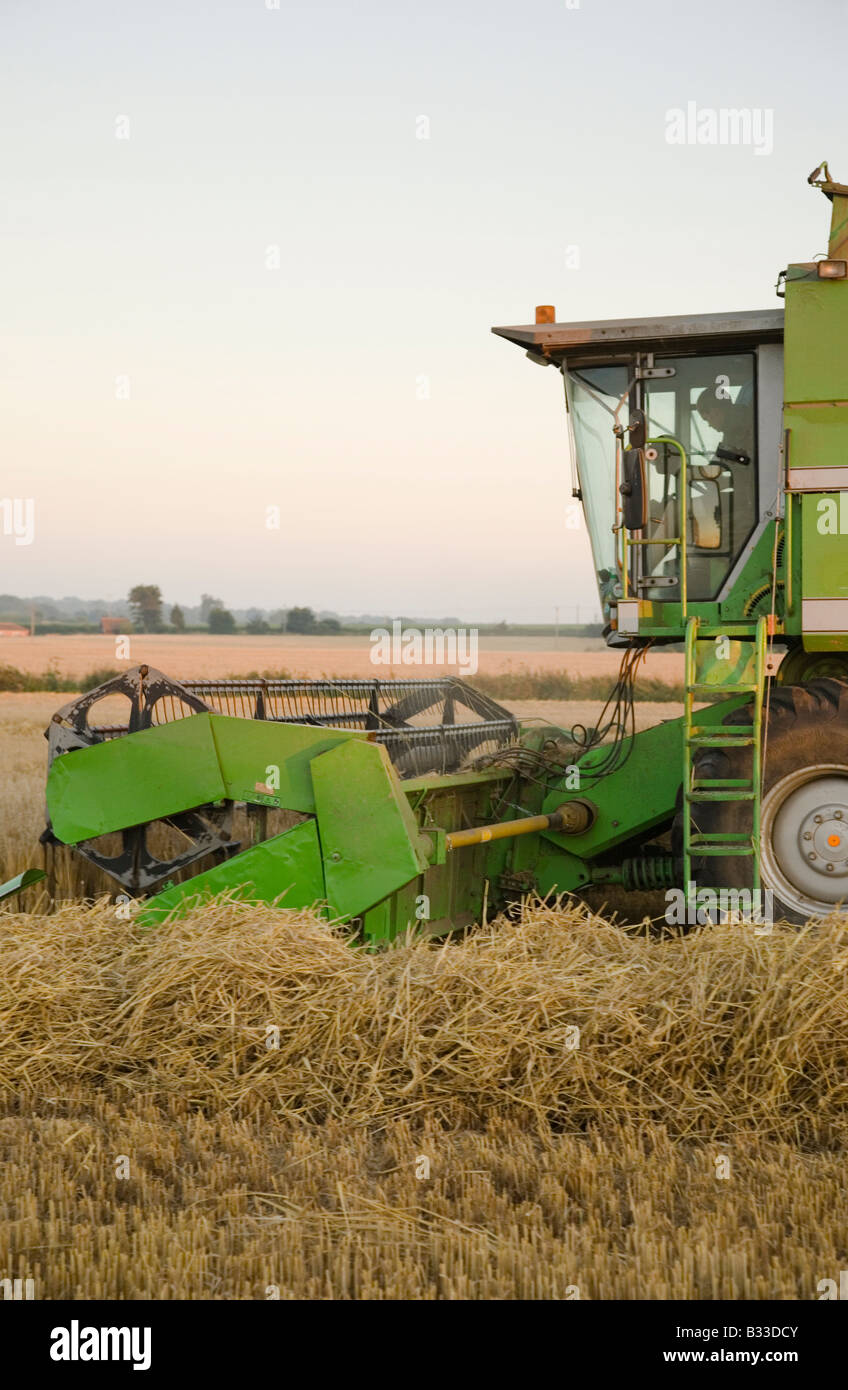 Combine Harvesting a field of Barley Stock Photo - Alamy