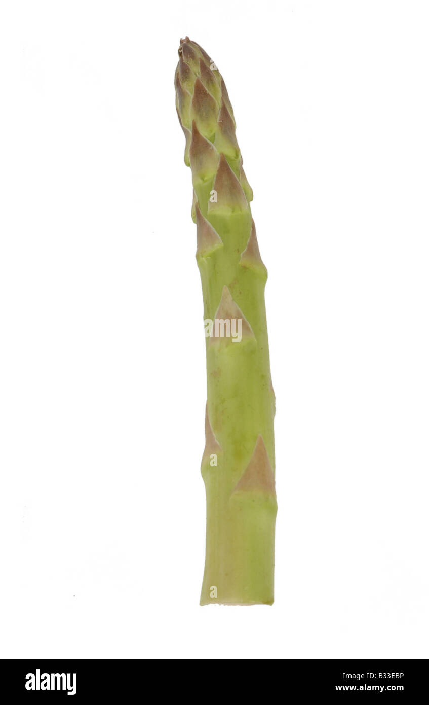 cut out of an asparagus stick Stock Photo - Alamy