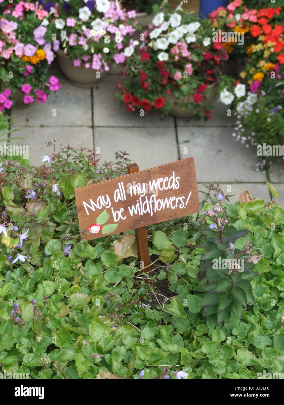 funny sign in a garden with flowers and weeds Stock Photo - Alamy
