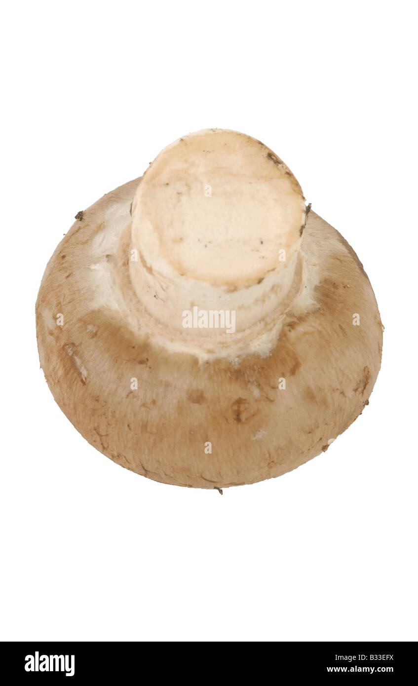 cut out of a button mushroom Stock Photo - Alamy