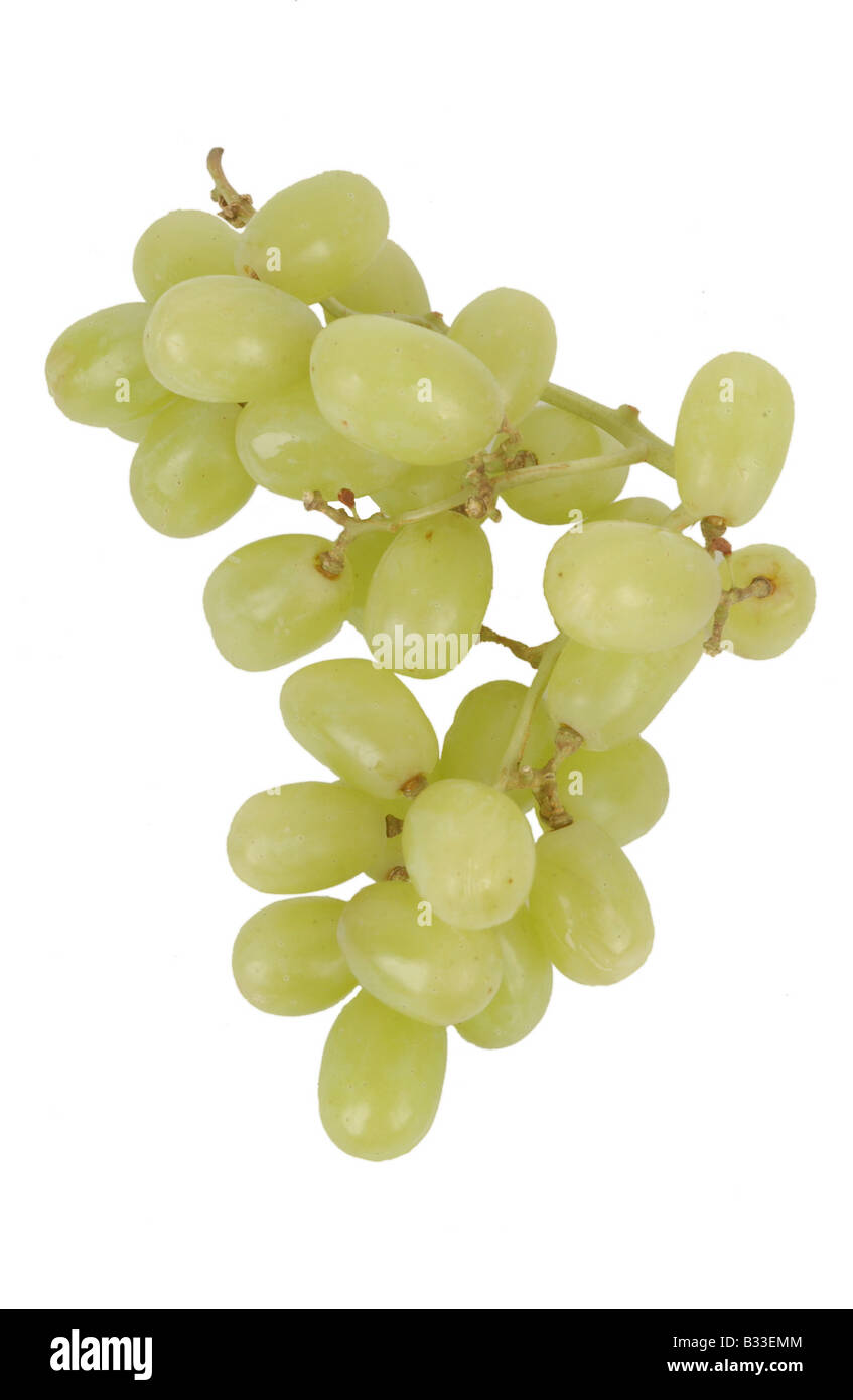 cut out of a green bunch of seedless grapes Stock Photo - Alamy cut out of a green bunch of seedless grapes Stock Photo - Alamy