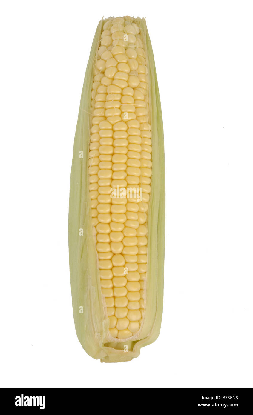 cut out of some sweetcorn Stock Photo - Alamy