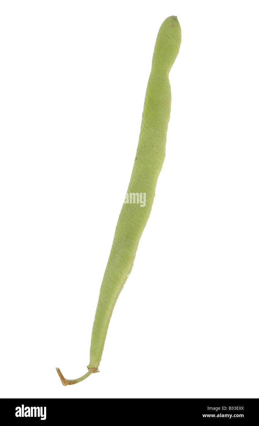 beans string runner Stock Photo - Alamy