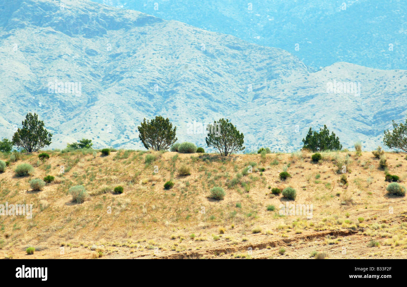 Albuquerque desert landscape hi-res stock photography and images - Alamy