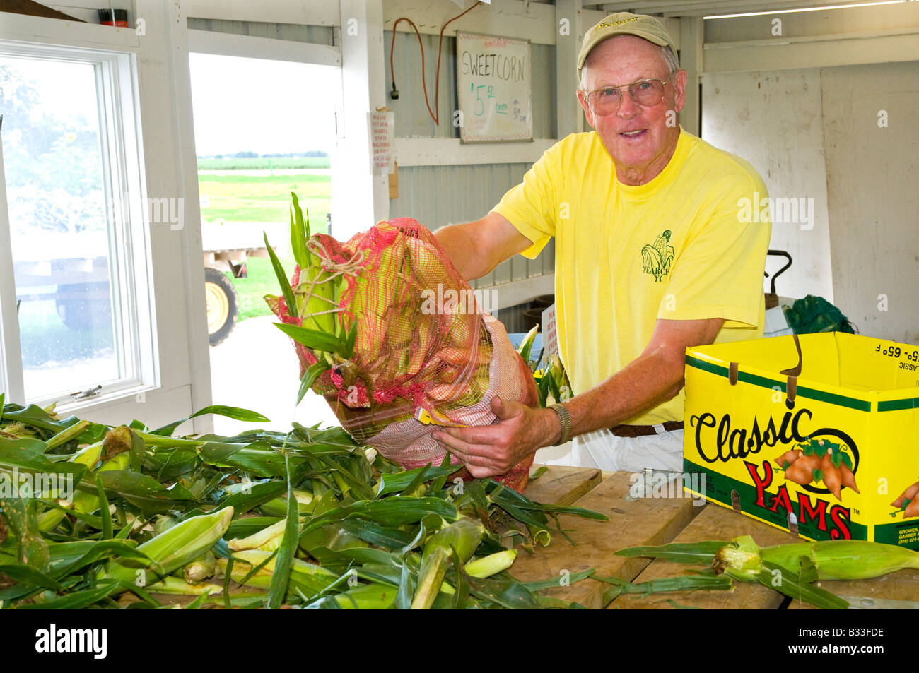 Stand of corn hi-res stock photography and images - Alamy