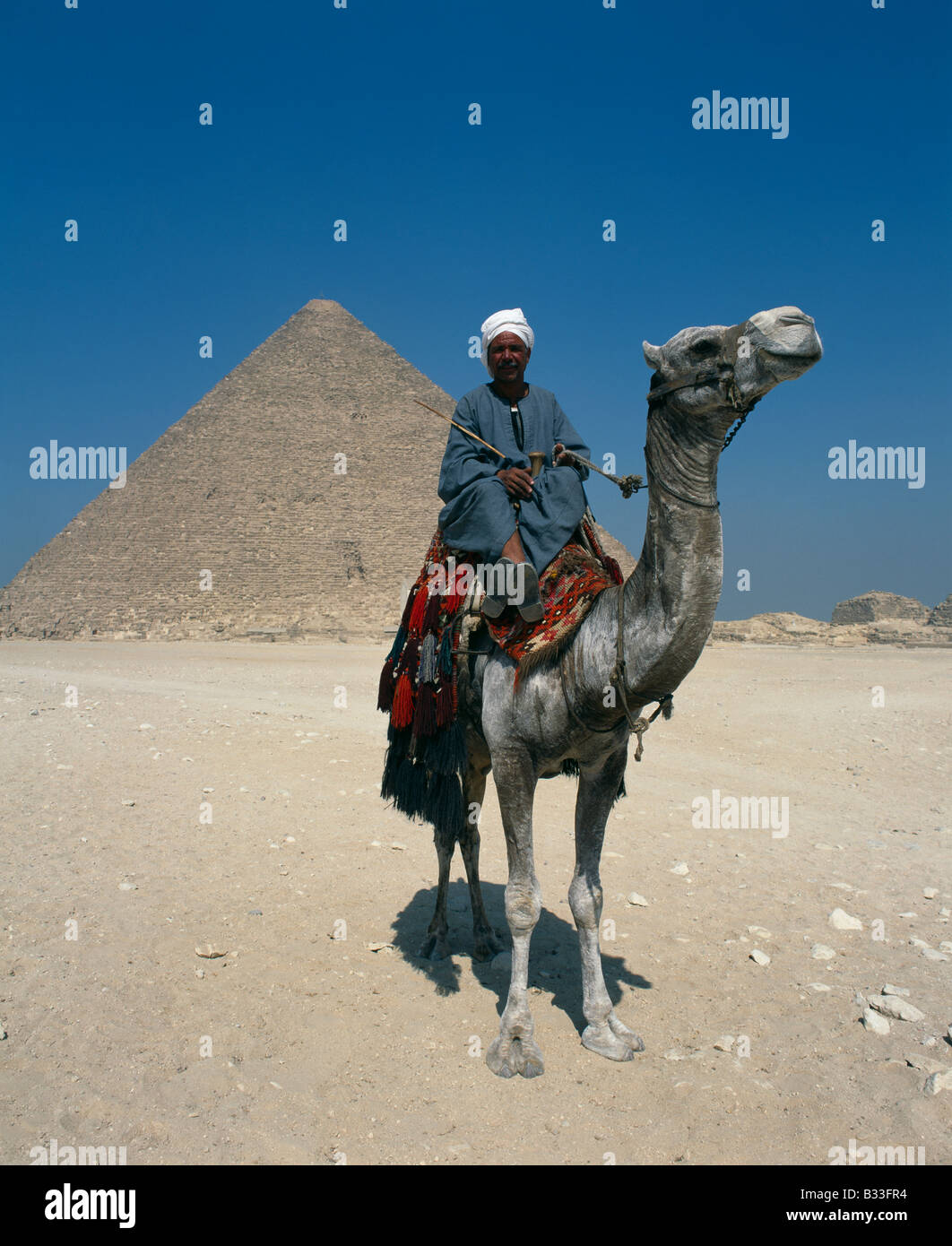 Camel with owner at Pyramids, Giza, Egypt Stock Photo - Alamy