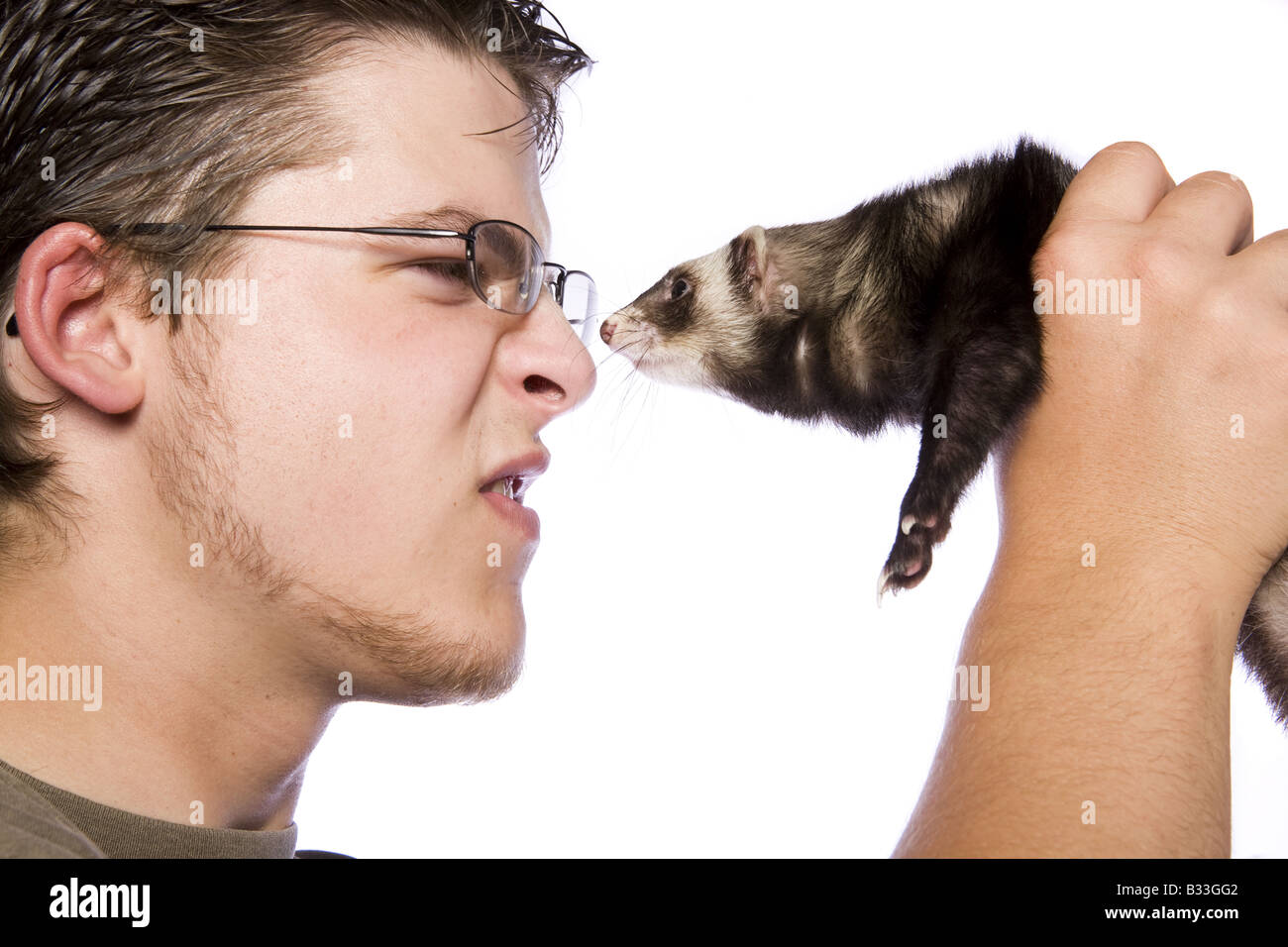 Man and ferret hi-res stock photography and images - Alamy