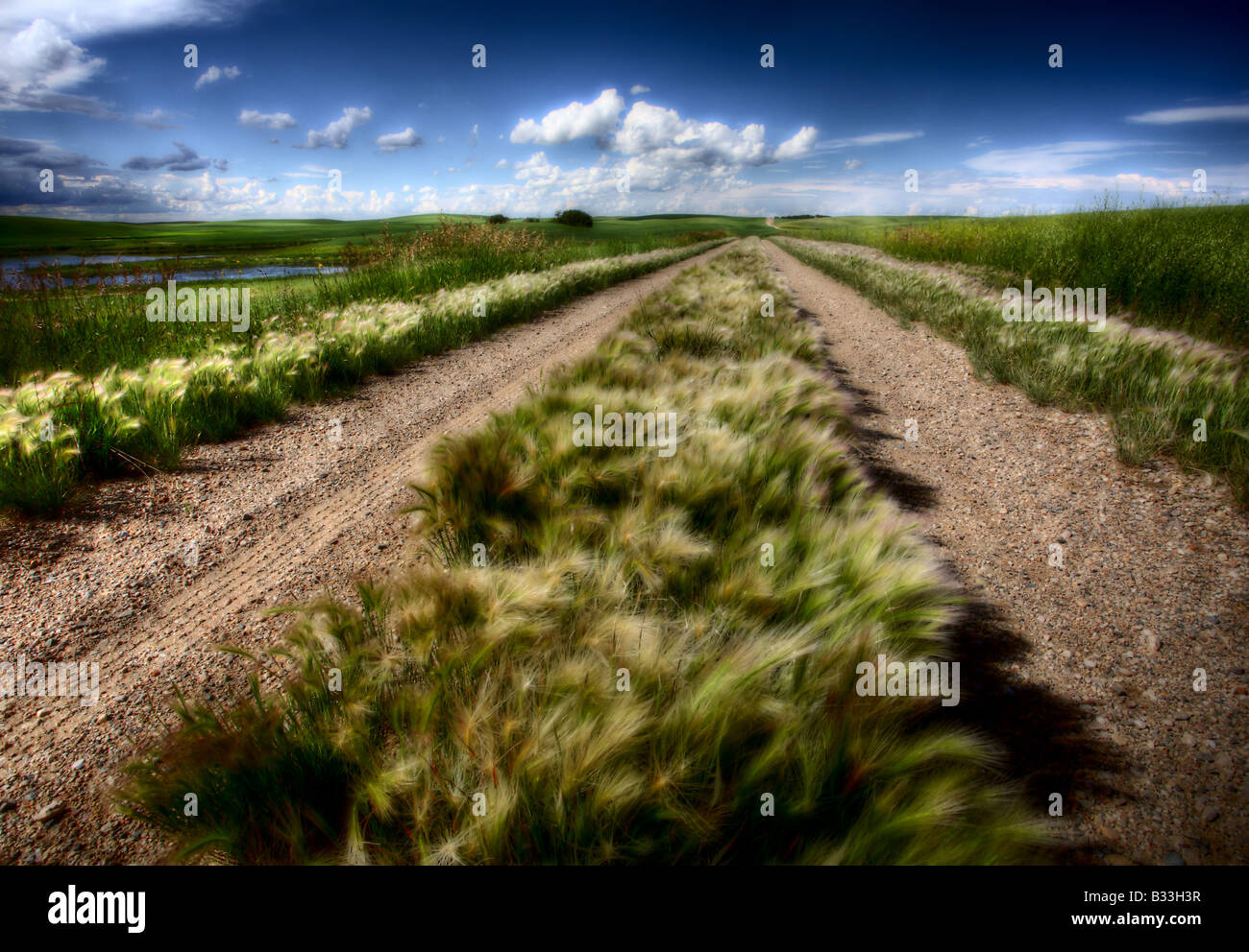Chaplin lake saskatchewan hi-res stock photography and images - Alamy