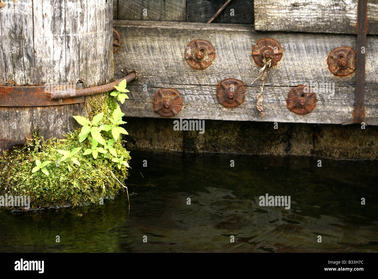 Old Wood Pier Piling High Resolution Stock Photography and Images - Alamy