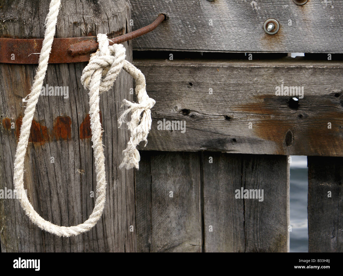 White knot hi-res stock photography and images - Alamy