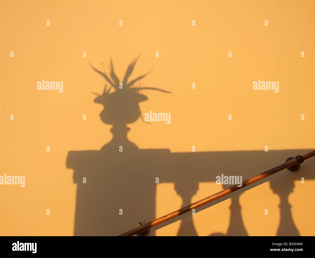 pot plant cactus shadow on house wall in greece Stock Photo - Alamy