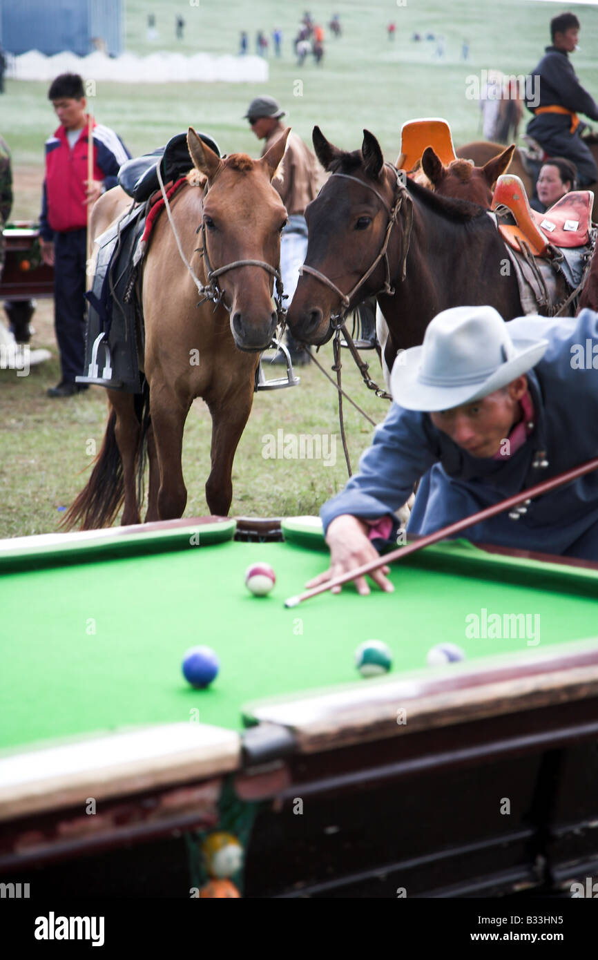 Horse pool hi-res stock photography and images - Alamy