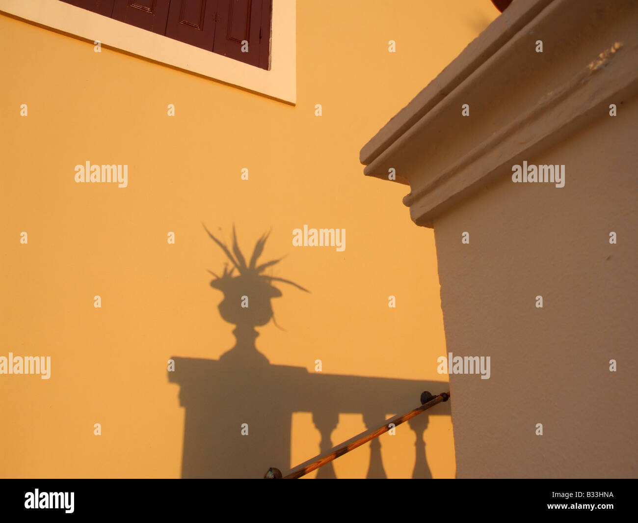 plant shadow on house in athens greece Stock Photo - Alamy