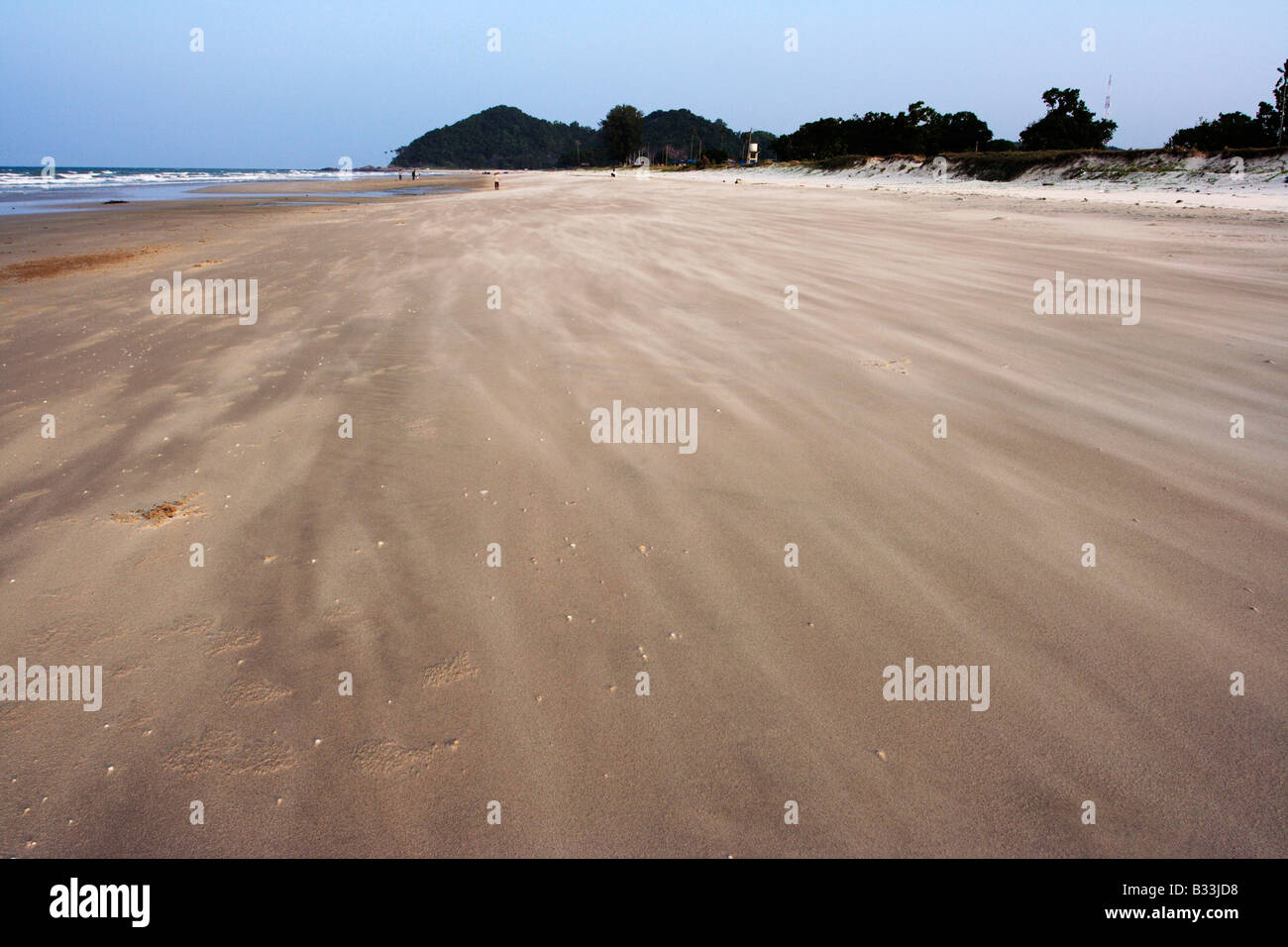 Fine sand blowing in the wind at Chendering beach in Kuala Terengganu ...