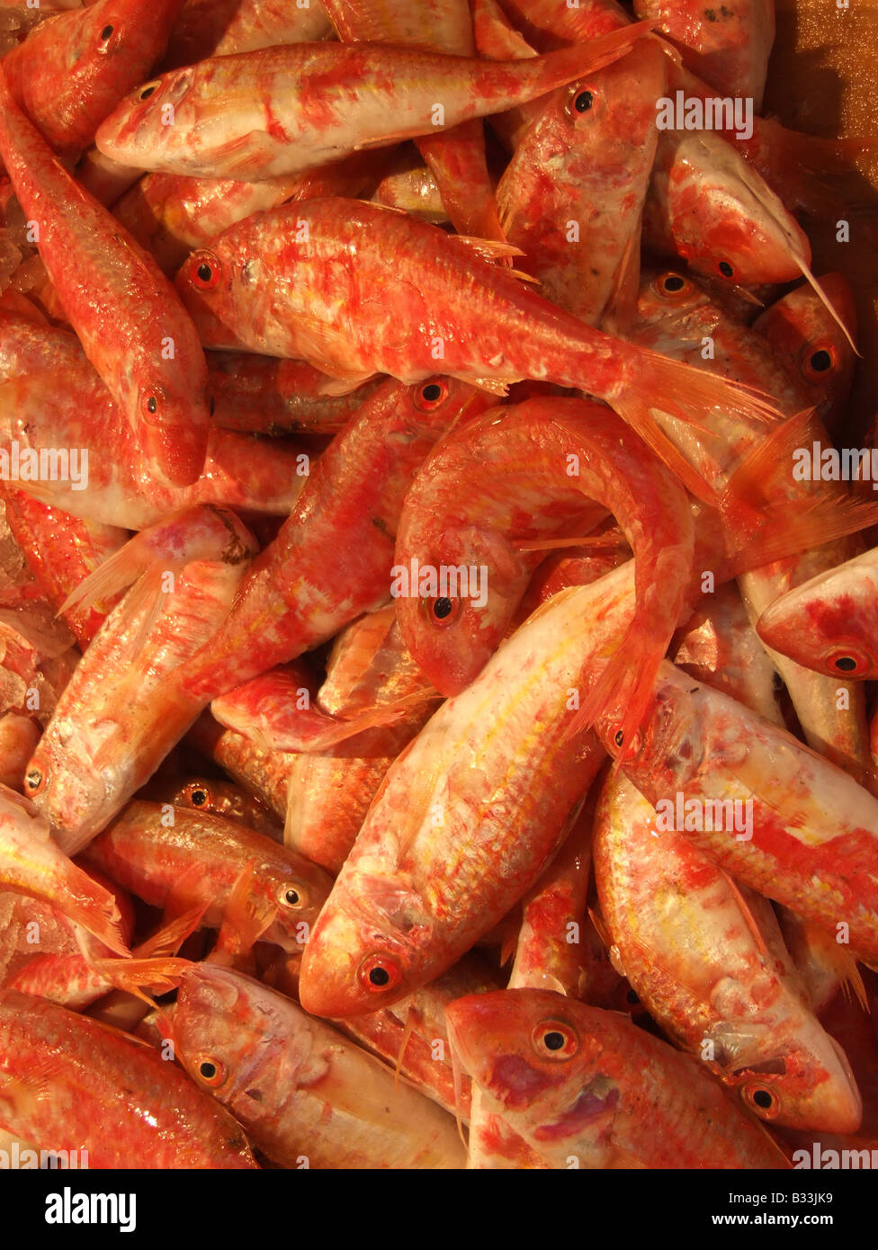 fish market stall in athens greece Stock Photo - Alamy