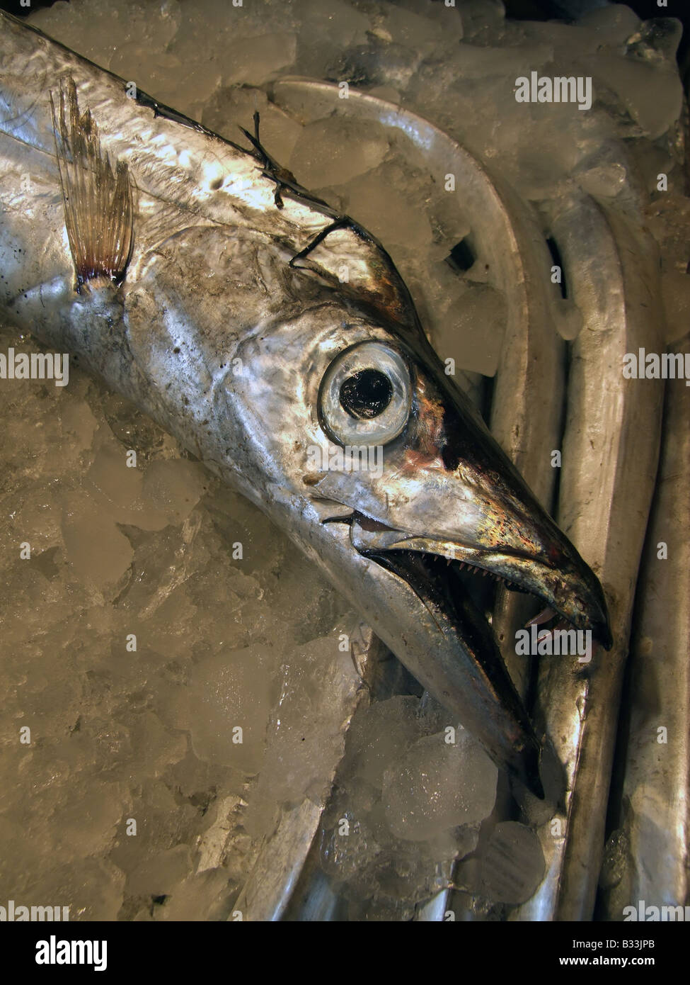 fish market stall in athens greece Stock Photo - Alamy