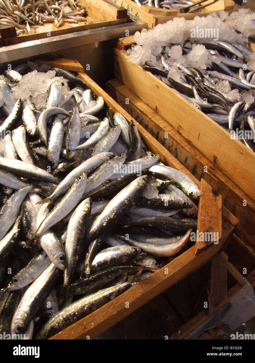 Fishmonger food fresh choice shopper box fresh travel stall hi-res ...