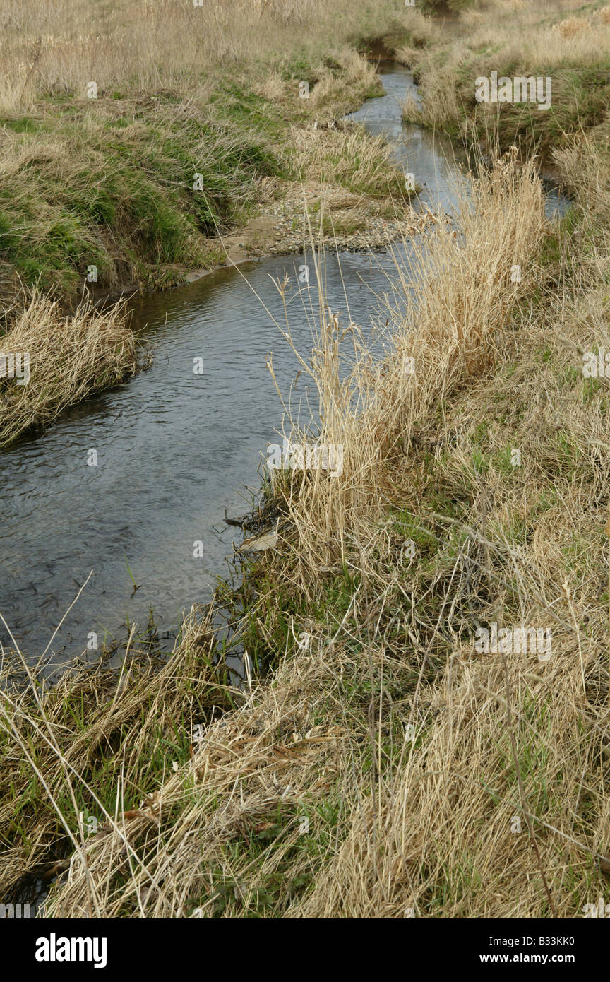 small river passing through rural grassland countryside Stock Photo - Alamy