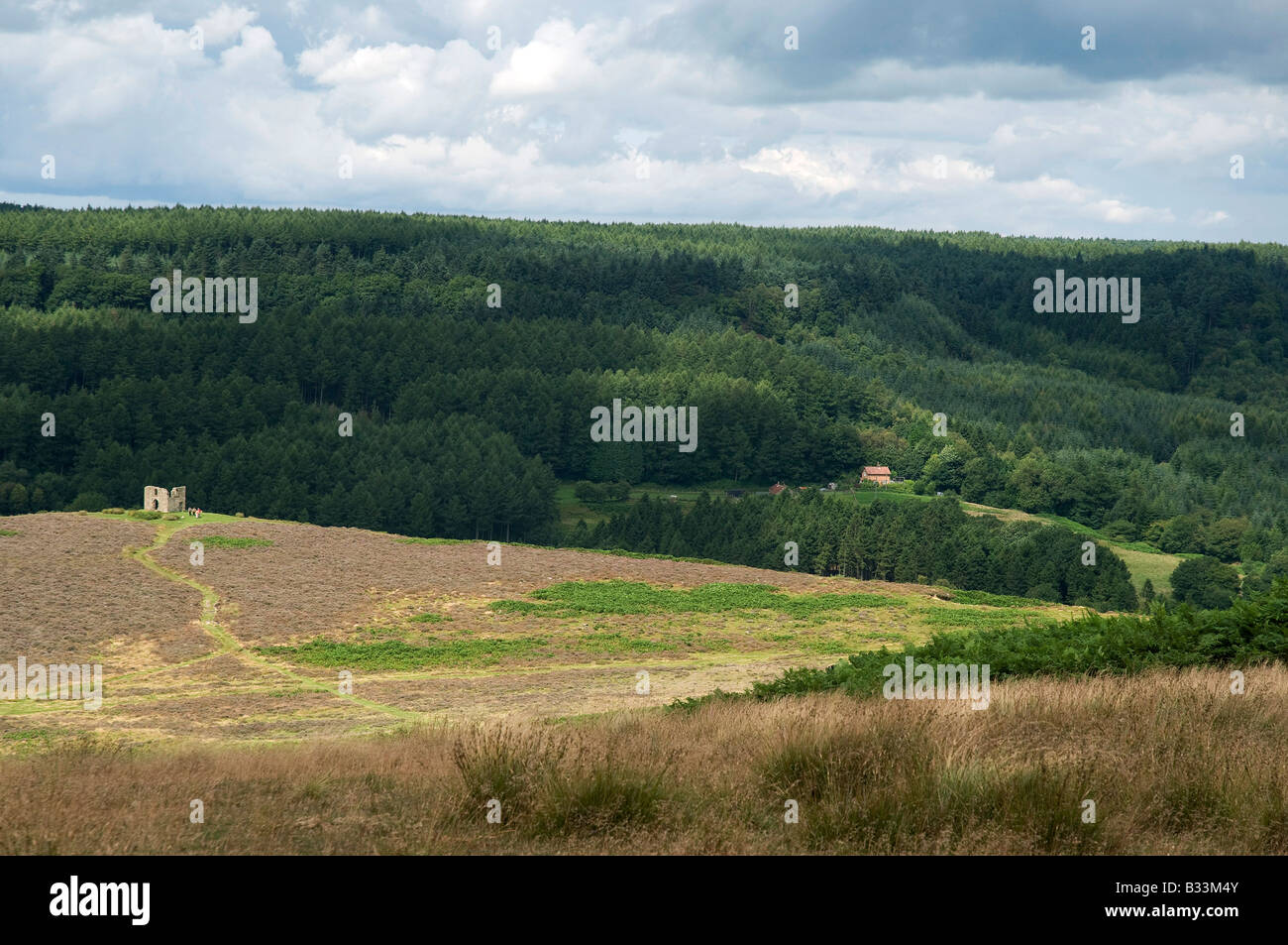 Skelton Tower and Newtondale, North Yorkshire Moors, Northern England ...