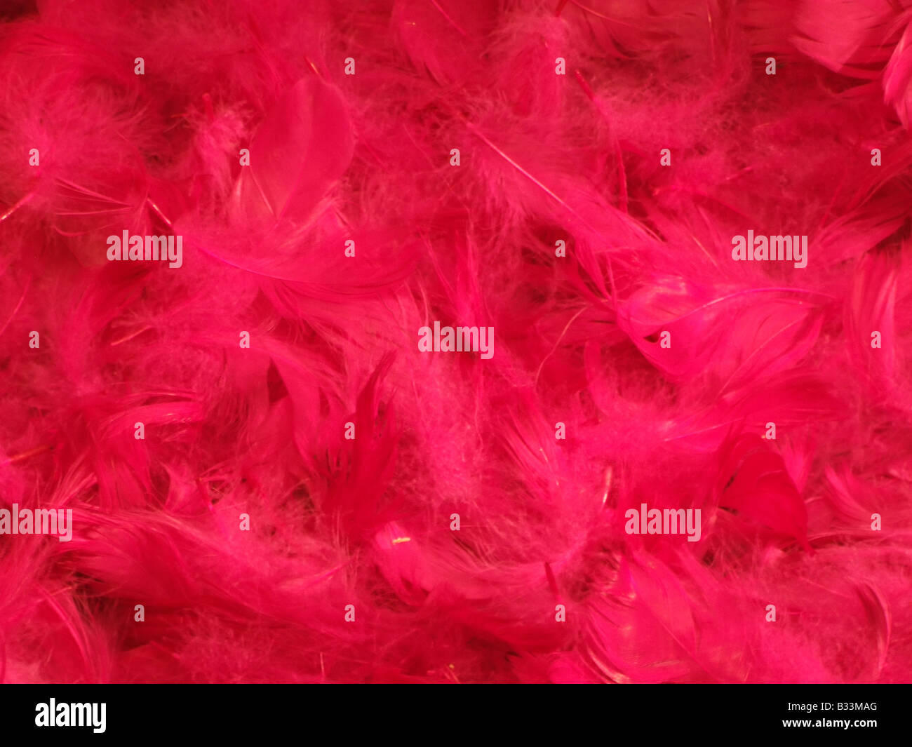 pile of pink red feathers on ground floor Stock Photo - Alamy