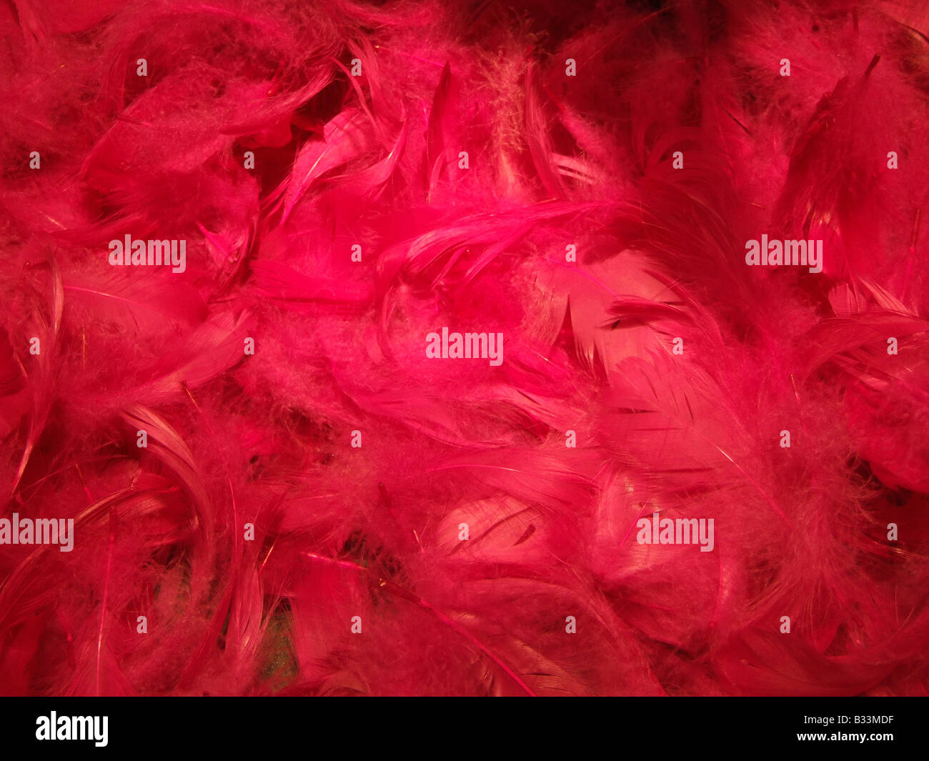 pile of pink red feathers on ground floor Stock Photo - Alamy