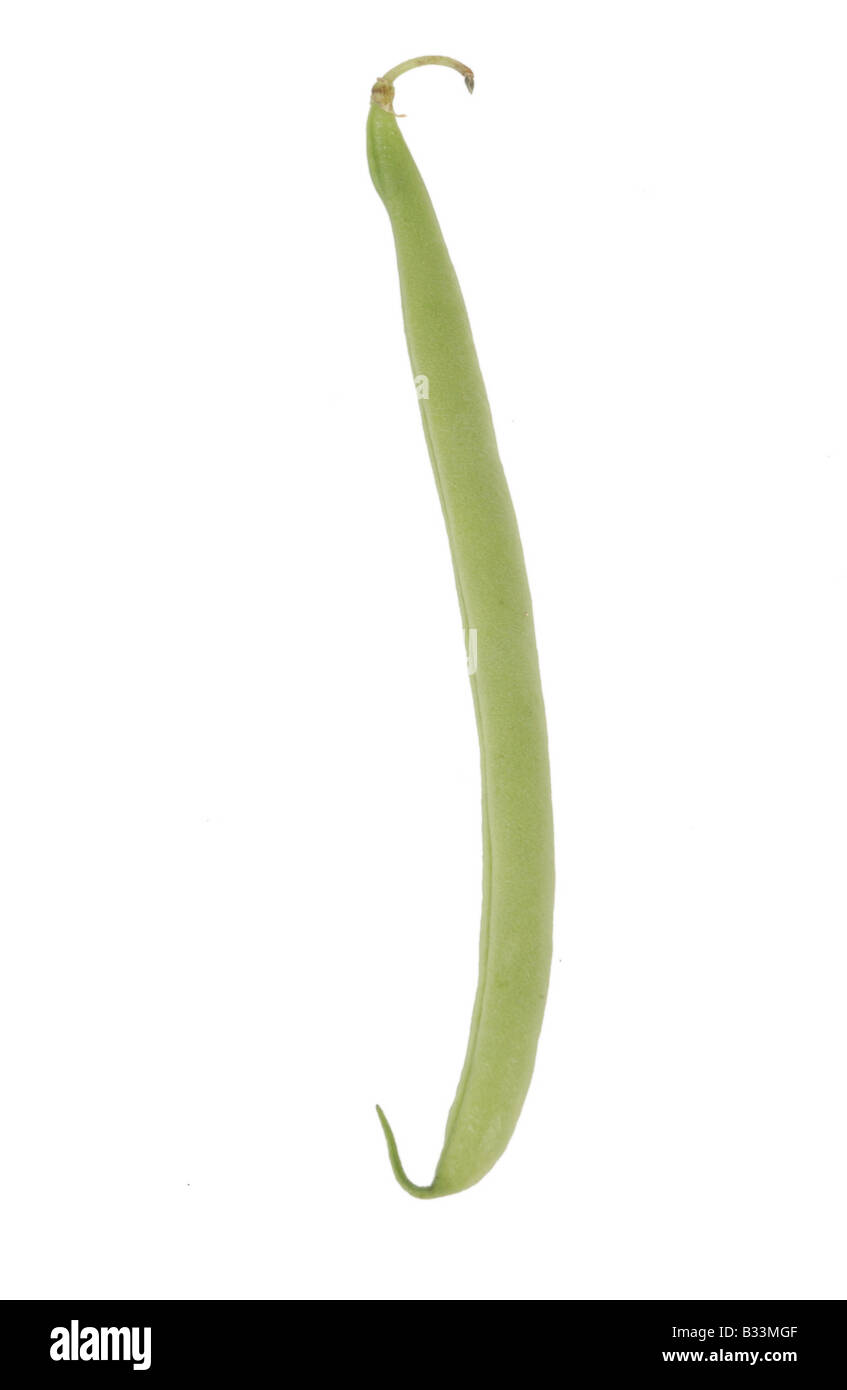 One Green Bean
