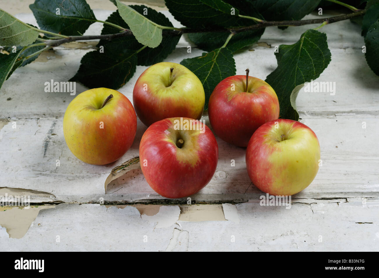 Five Apples