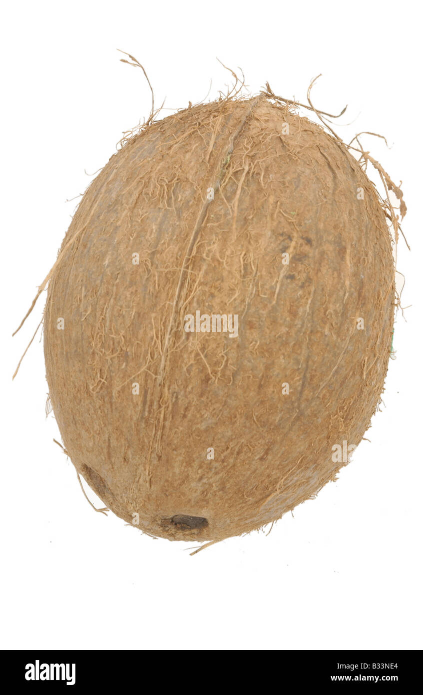 But coconut hi-res stock photography and images - Alamy