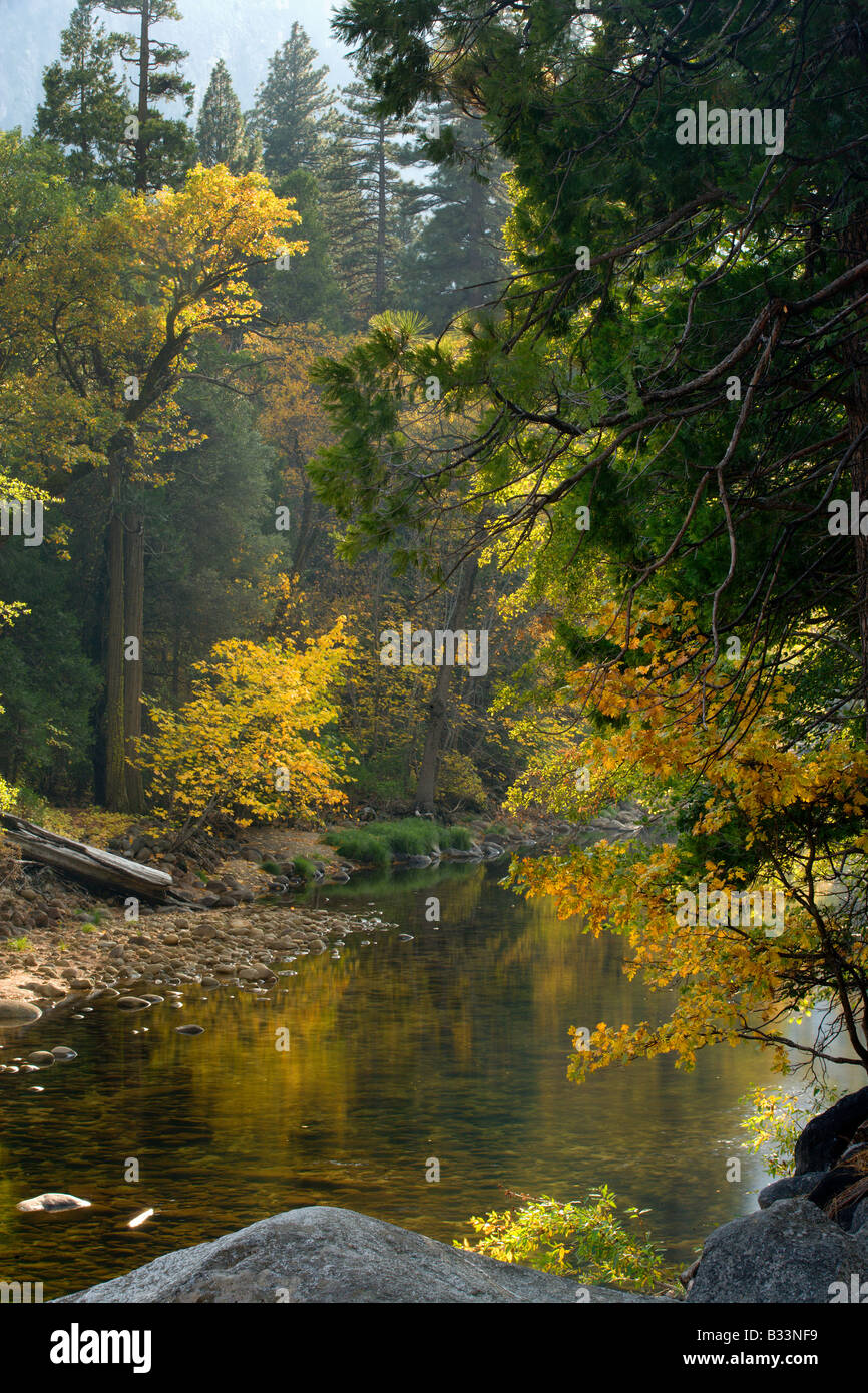 Fall color reflects into Yosemite Valley s Merced River Stock Photo - Alamy