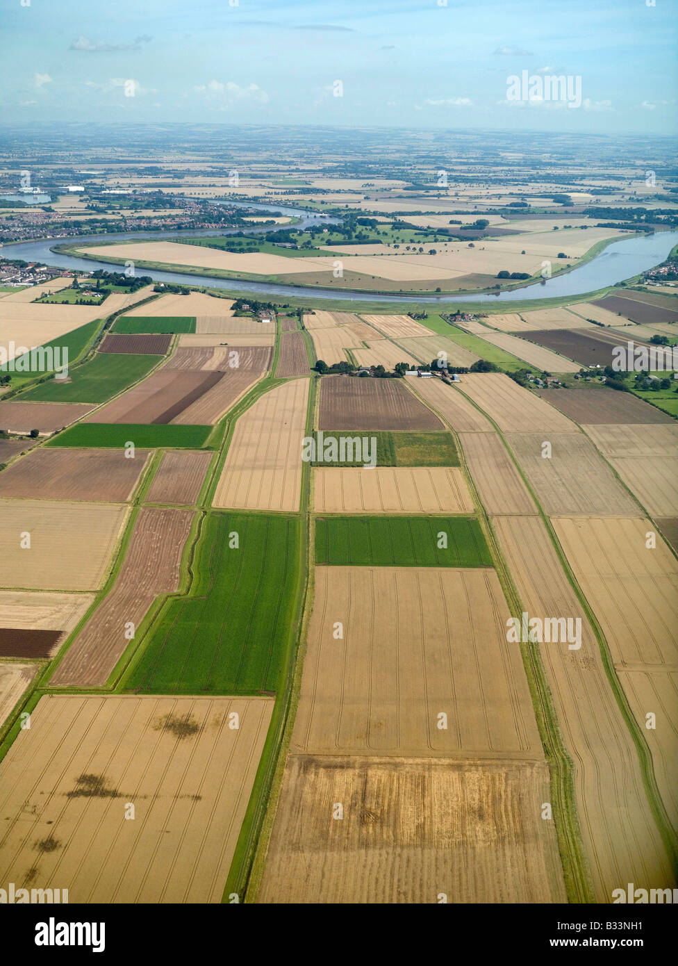 Crops Ready for Harvest, East Yorkshire, nr Goole, Northern England ...