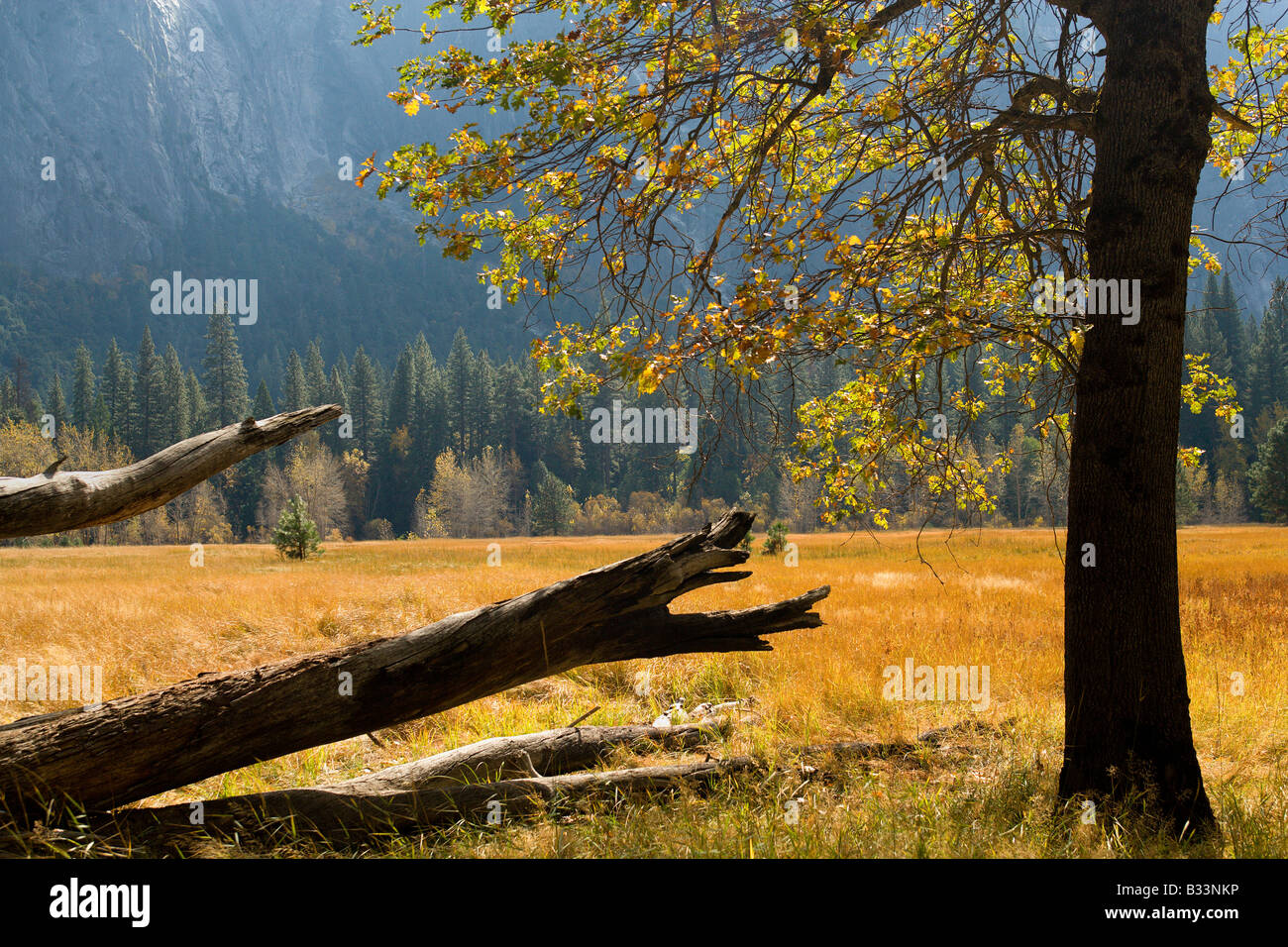 Cooks meadow yosemite hi-res stock photography and images - Alamy