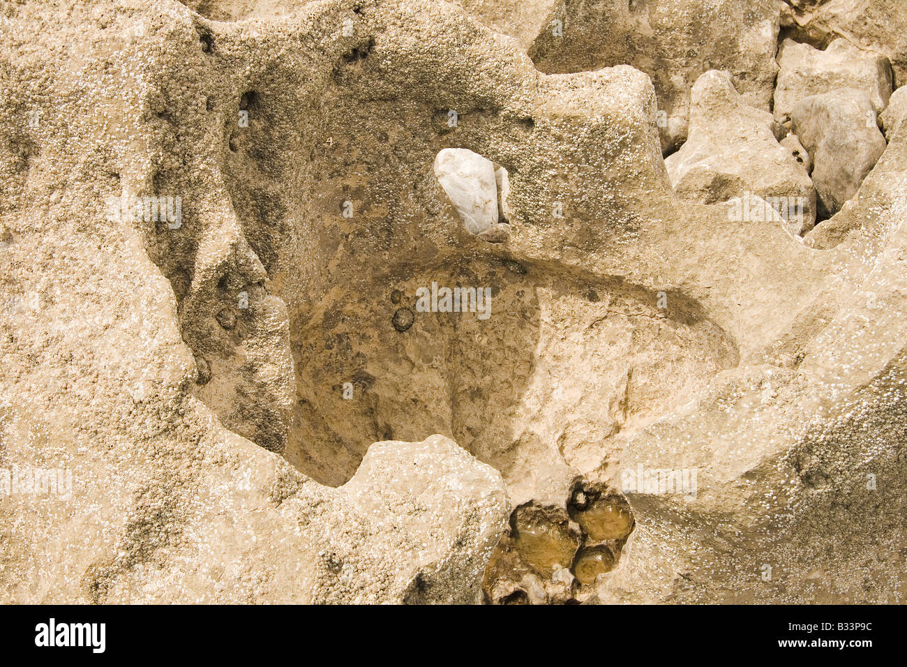 Wind erosion beach hi-res stock photography and images - Alamy