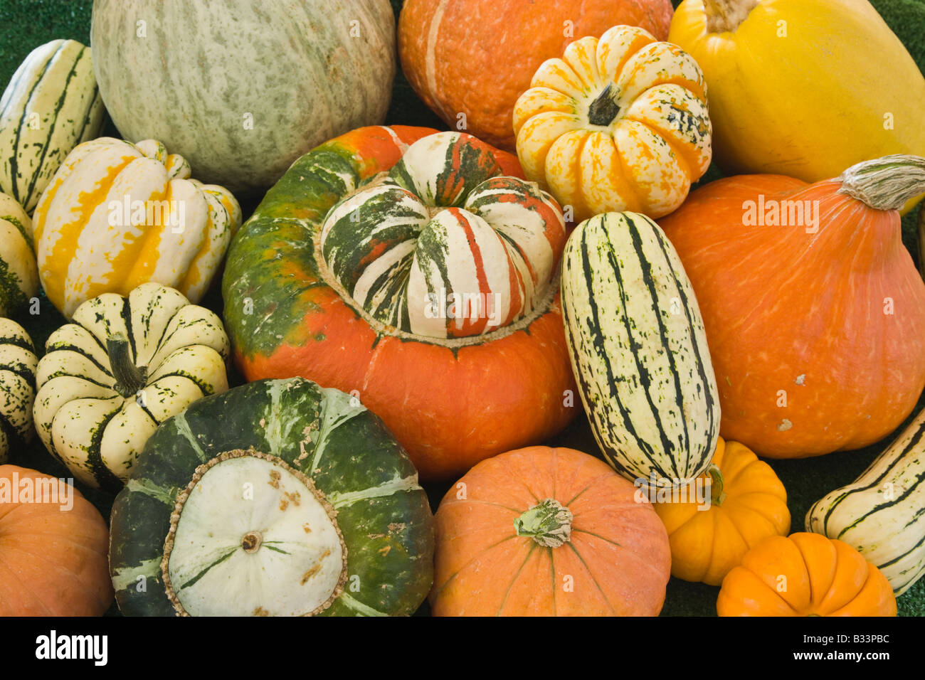 Harvested varieties 'Winter' squash Stock Photo - Alamy