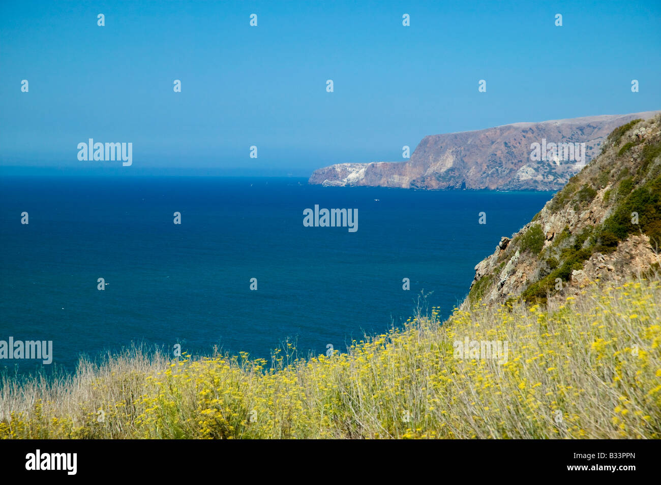 Santa Cruz Island Channel Islands California Stock Photo - Alamy