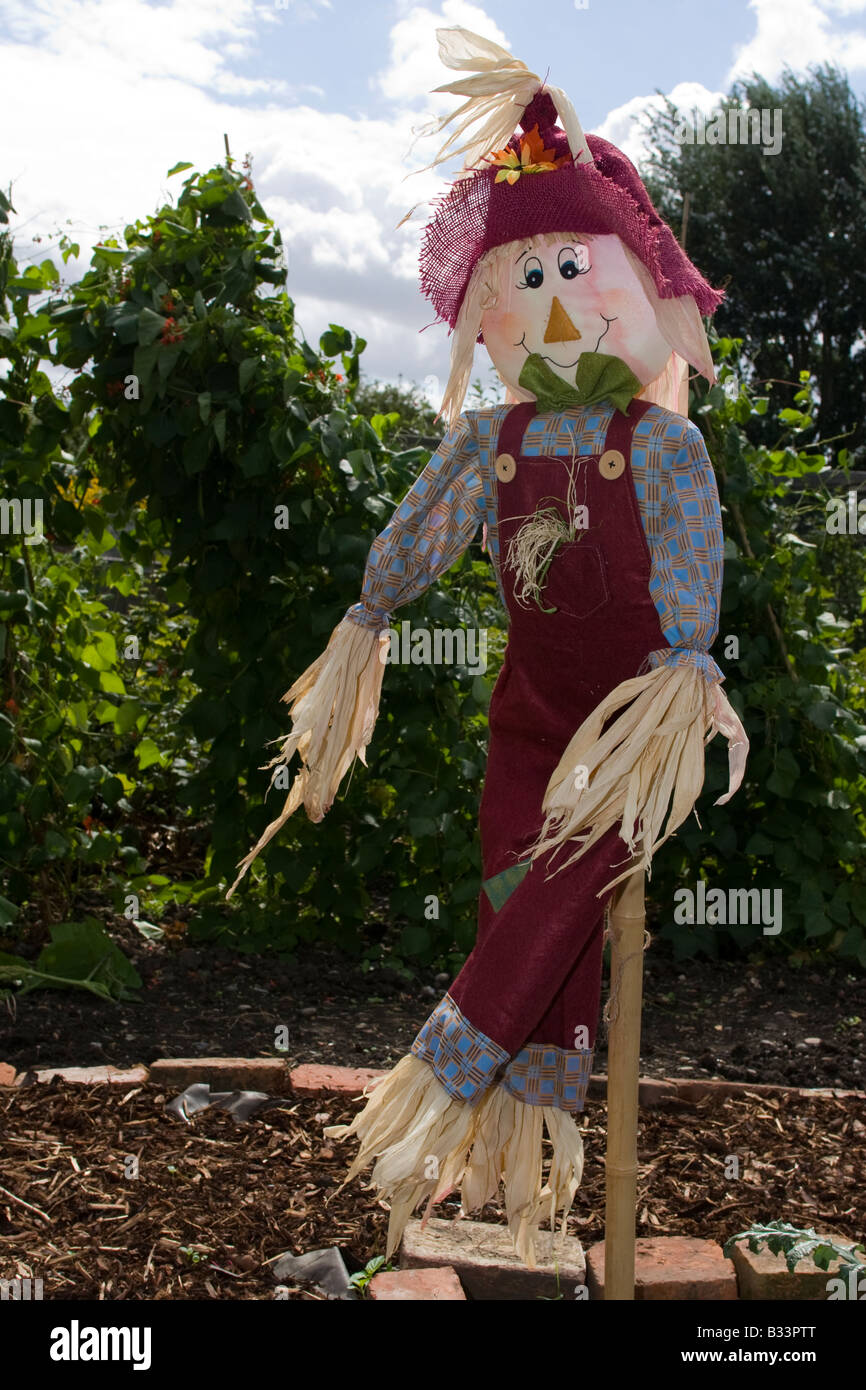 Happy-faced well-dressed scarecrow in hat, blue shirt and red dungarees ...