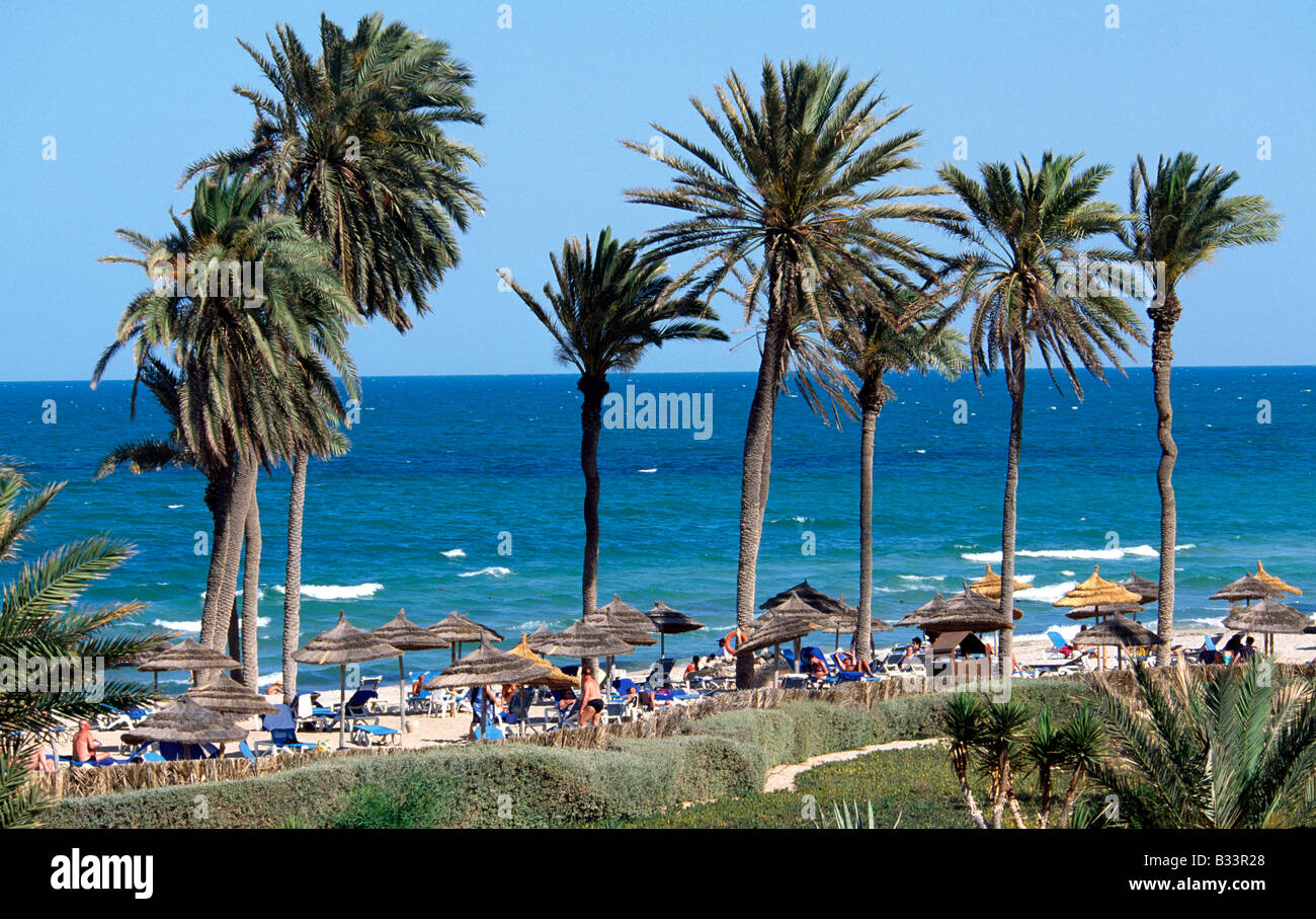 Oasis zarzis hi-res stock photography and images - Alamy