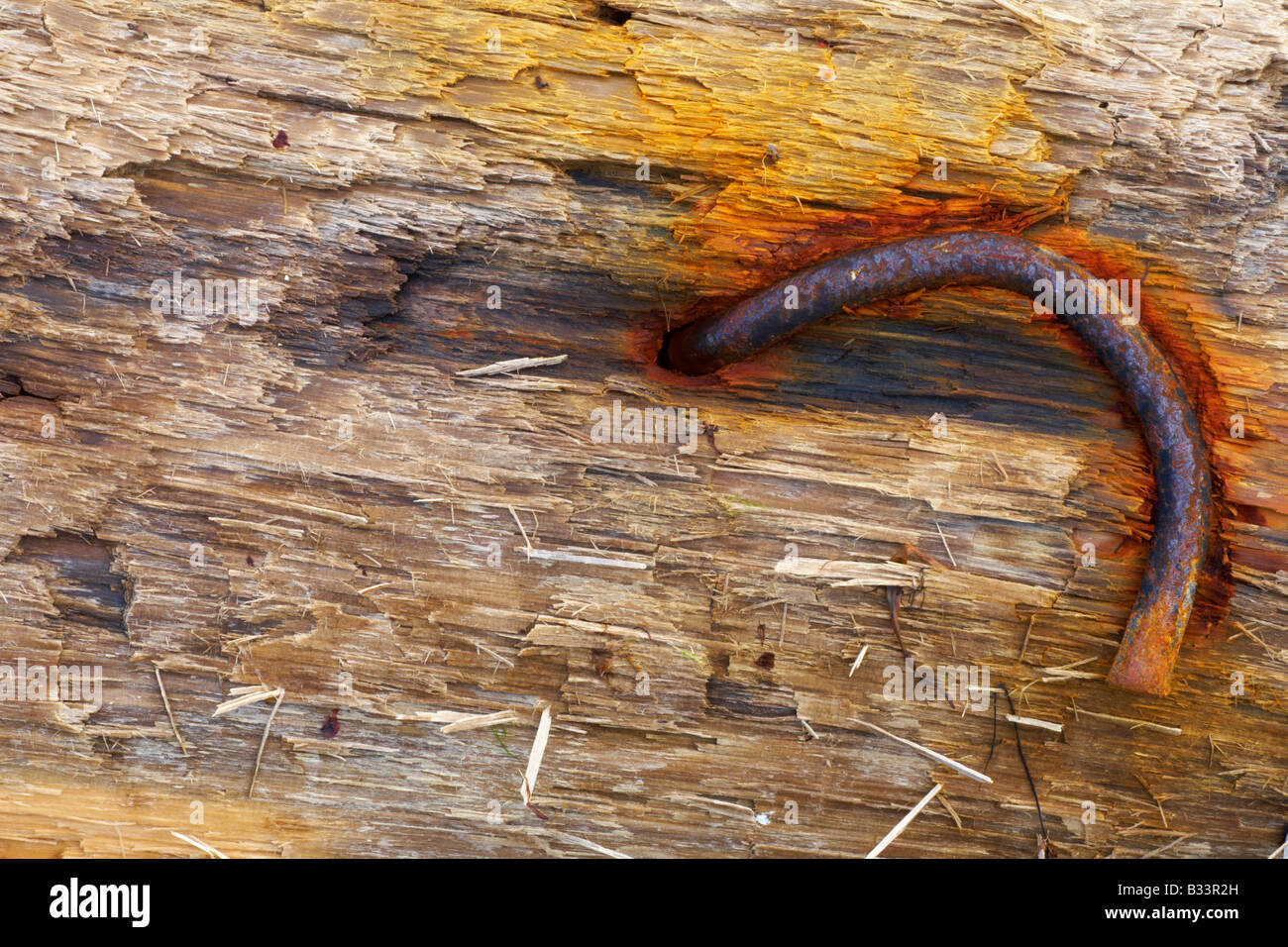 Drift wood washed up on a beach hi-res stock photography and images - Alamy