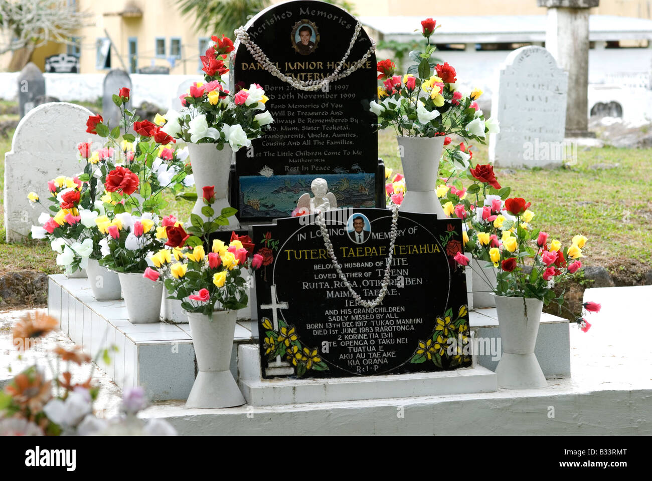 Cook islands flowers hi-res stock photography and images - Alamy
