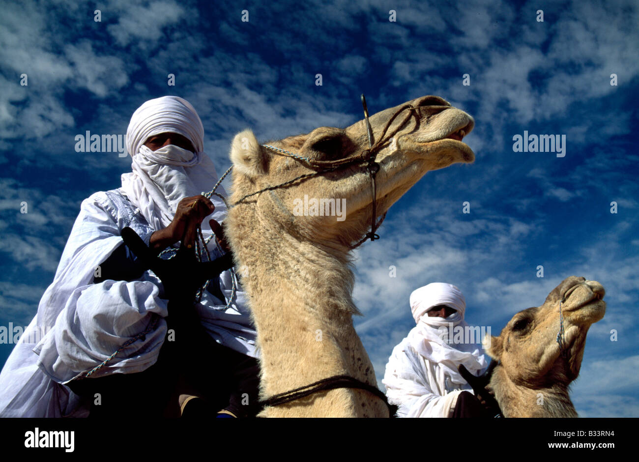 Libya tuareg camel africa desert hi-res stock photography and images ...