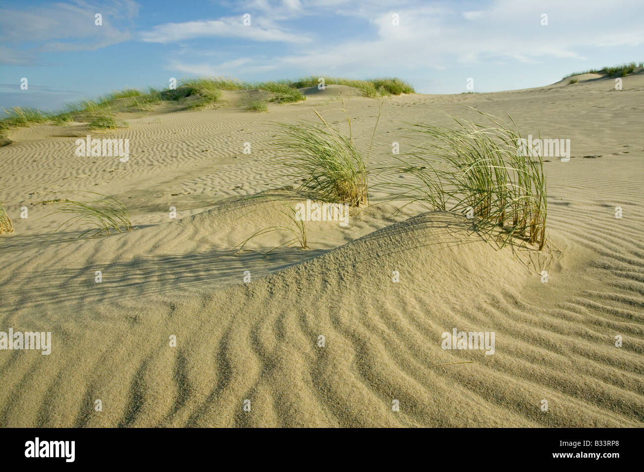 Sand on the Parnidis Dune Nida Curonian Spit National Park Lithuania ...