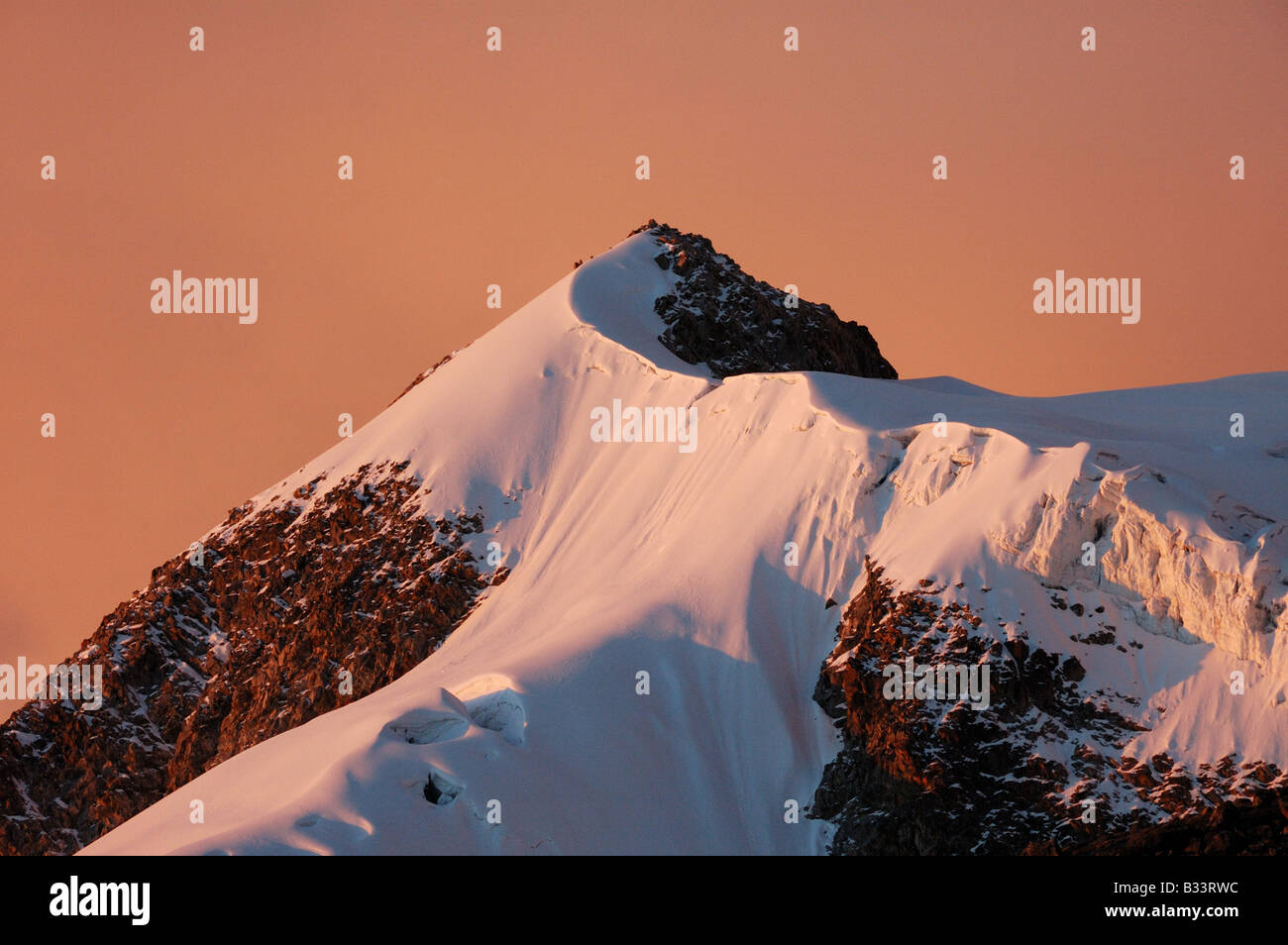 Schüze hi-res stock photography and images - Alamy