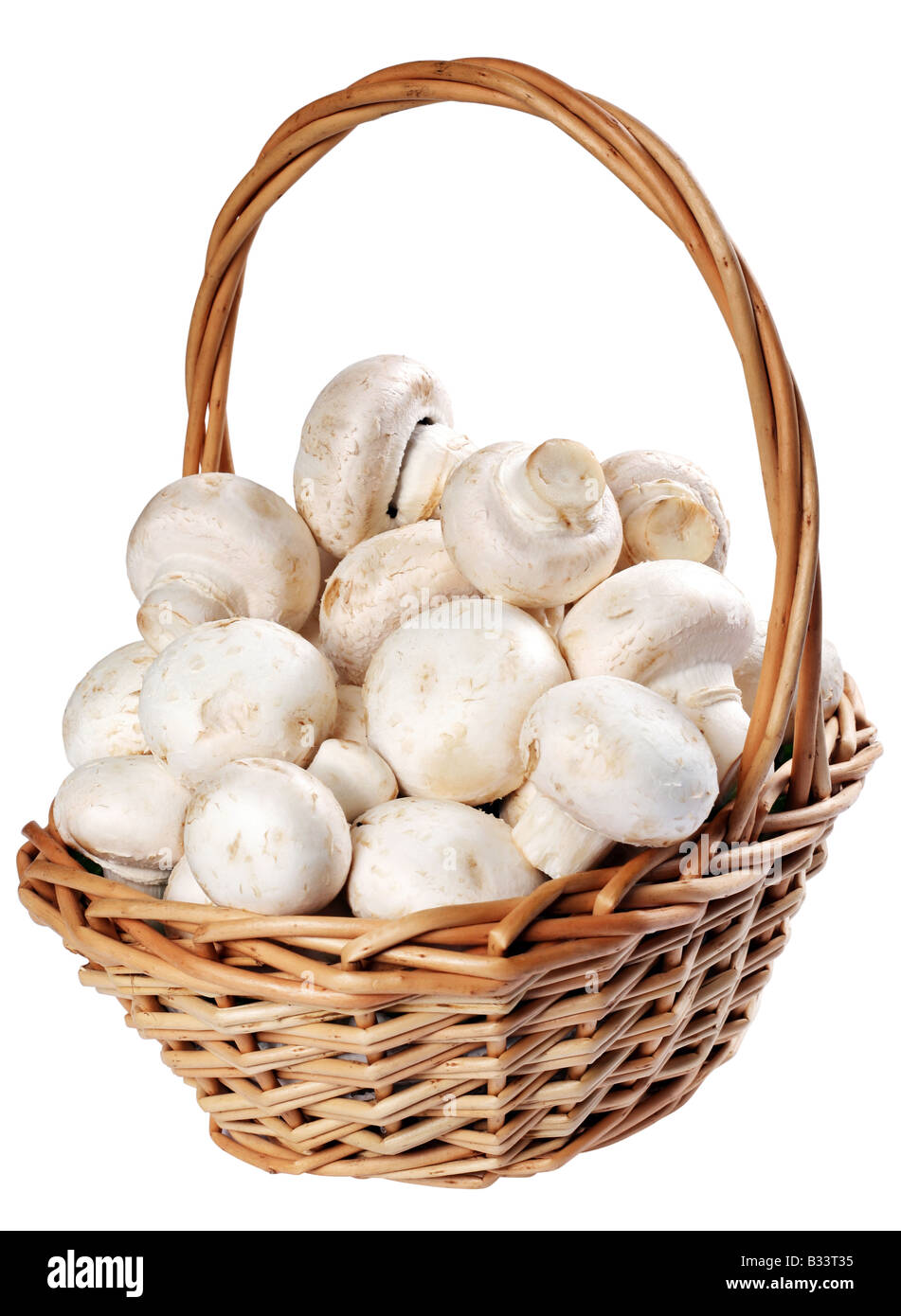 Mushroom champignon group isolated on white background Stock Photo - Alamy