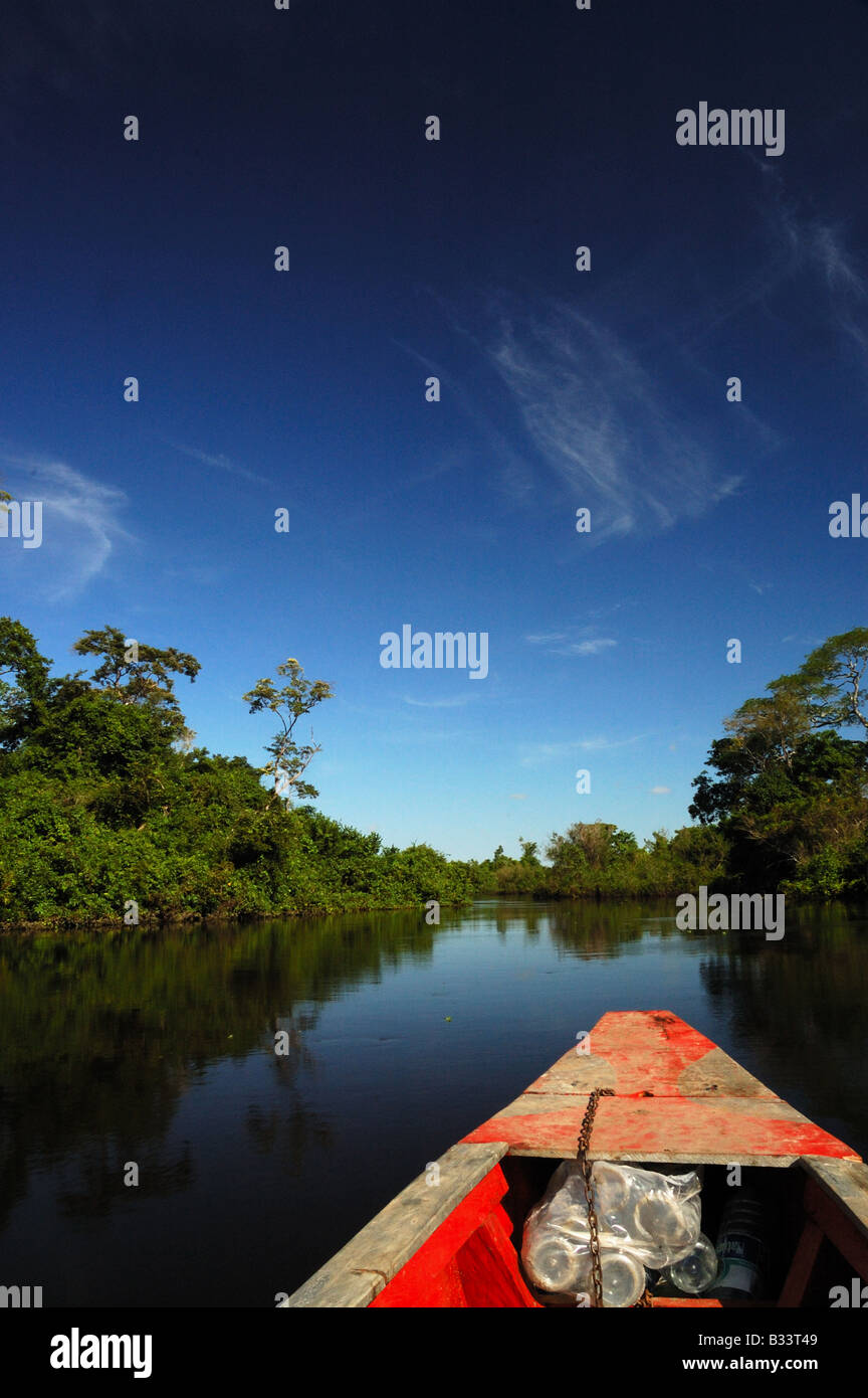 Tip of a long boat in the Pampas Amazon basin Bolivia South America ...