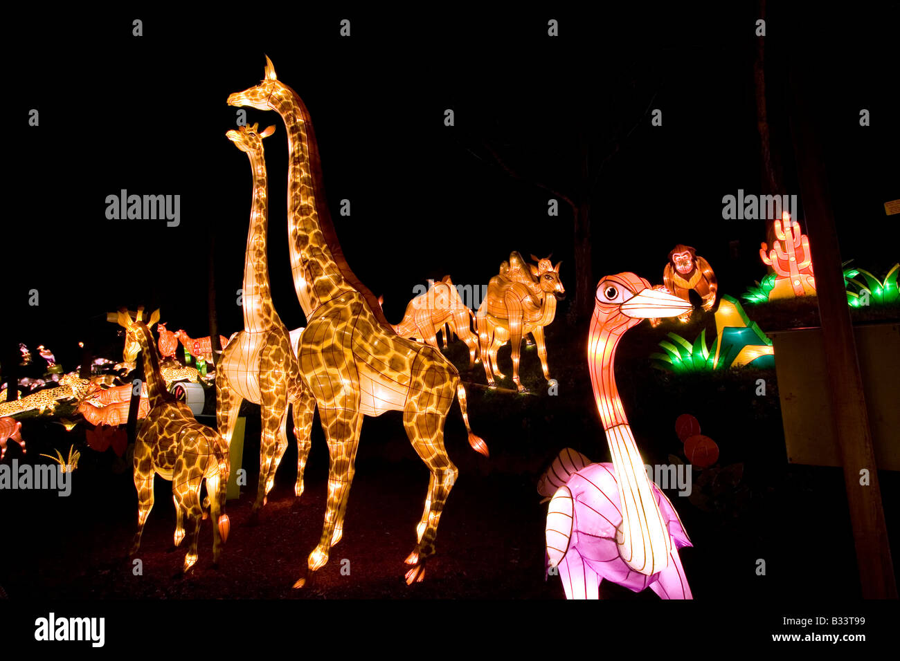 Lantern set Animals of Africa - Chinese Lantern Festival in Toronto ...