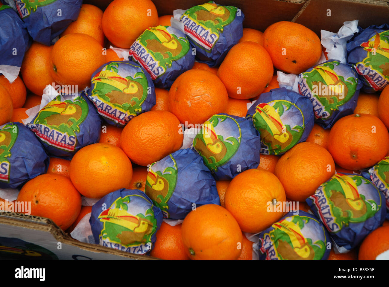 oranges on display at market stall Stock Photo - Alamy