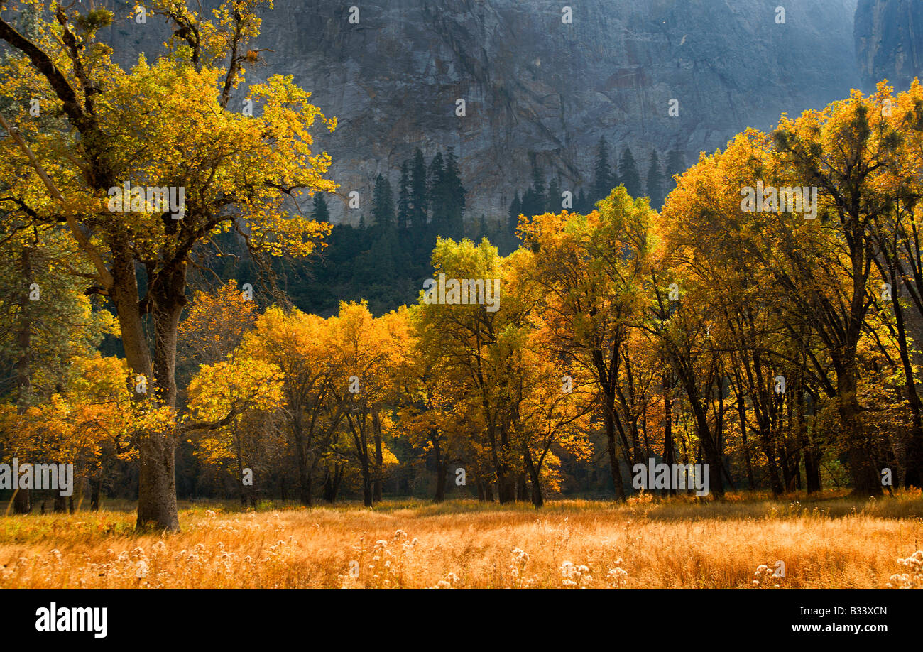Fall is on full display in Yosemite s El Capitan Meadow Yosemite ...