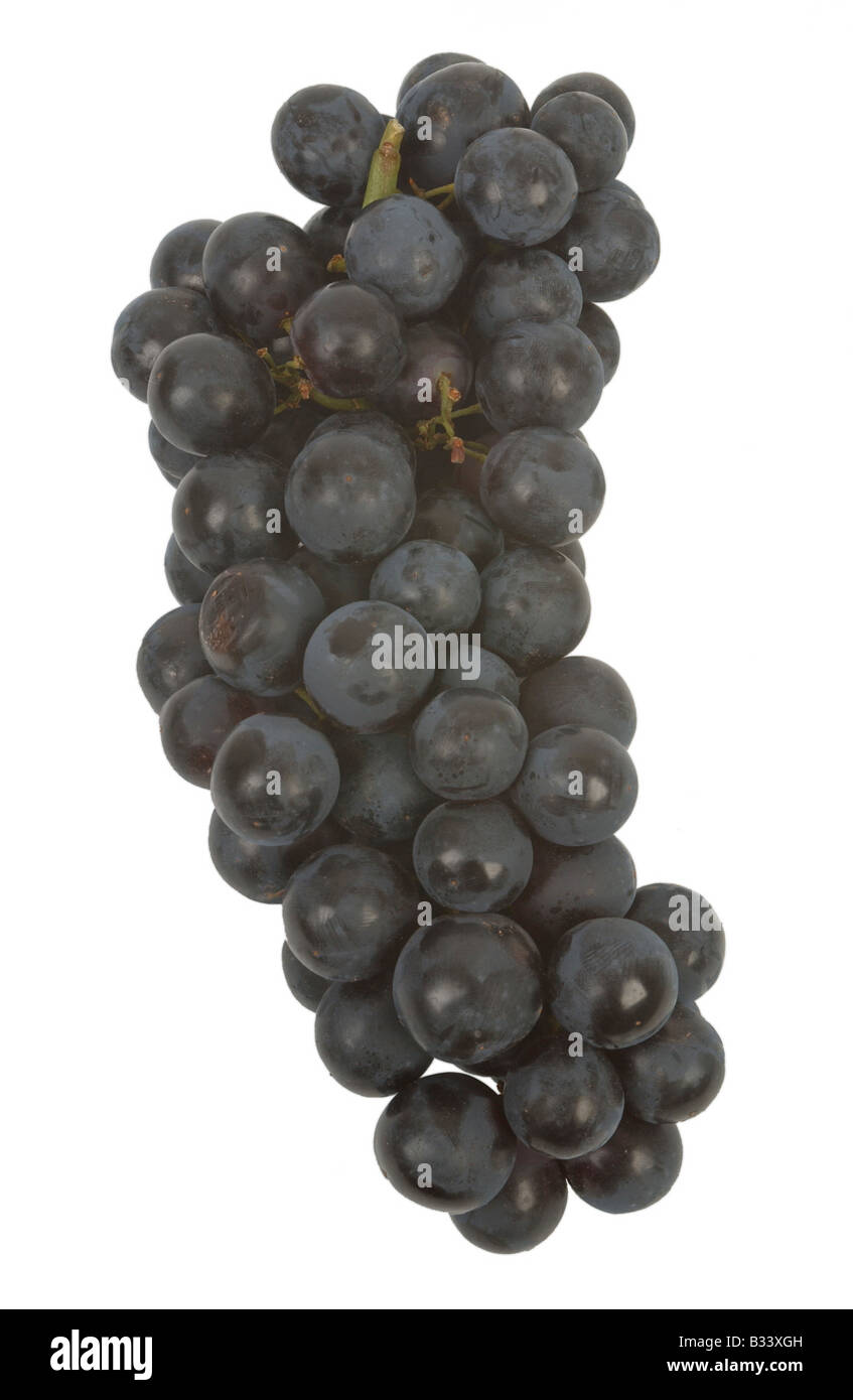 cut out of a bunch of black grapes Stock Photo - Alamy