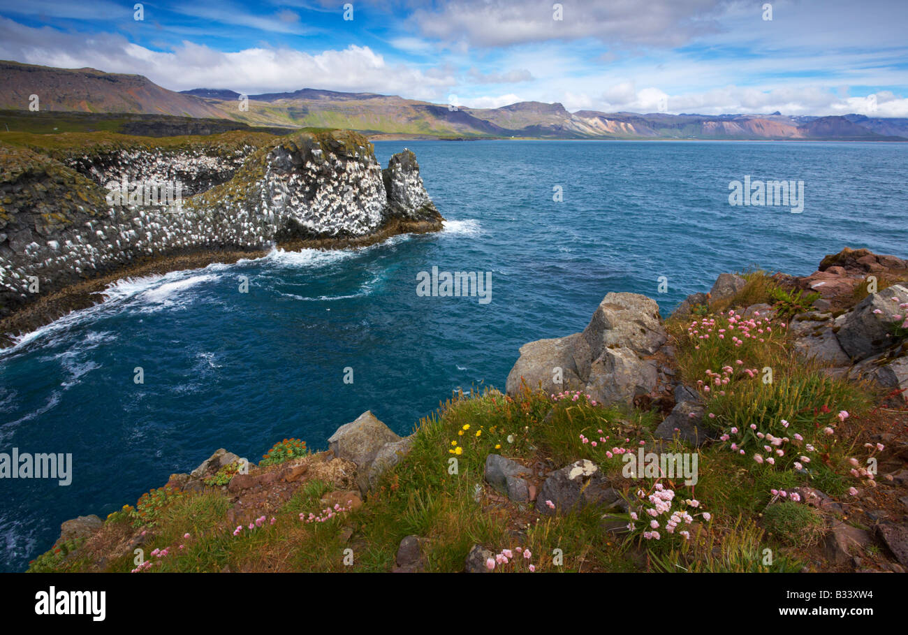 A view from the cliffs at Arnarstapi on the Snaefellsness Peninsula ...